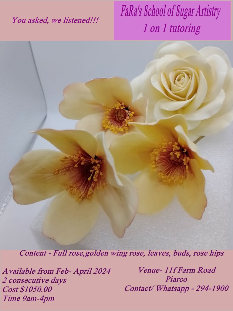 1 on 1 classes - FaRa's Cake Shoppe